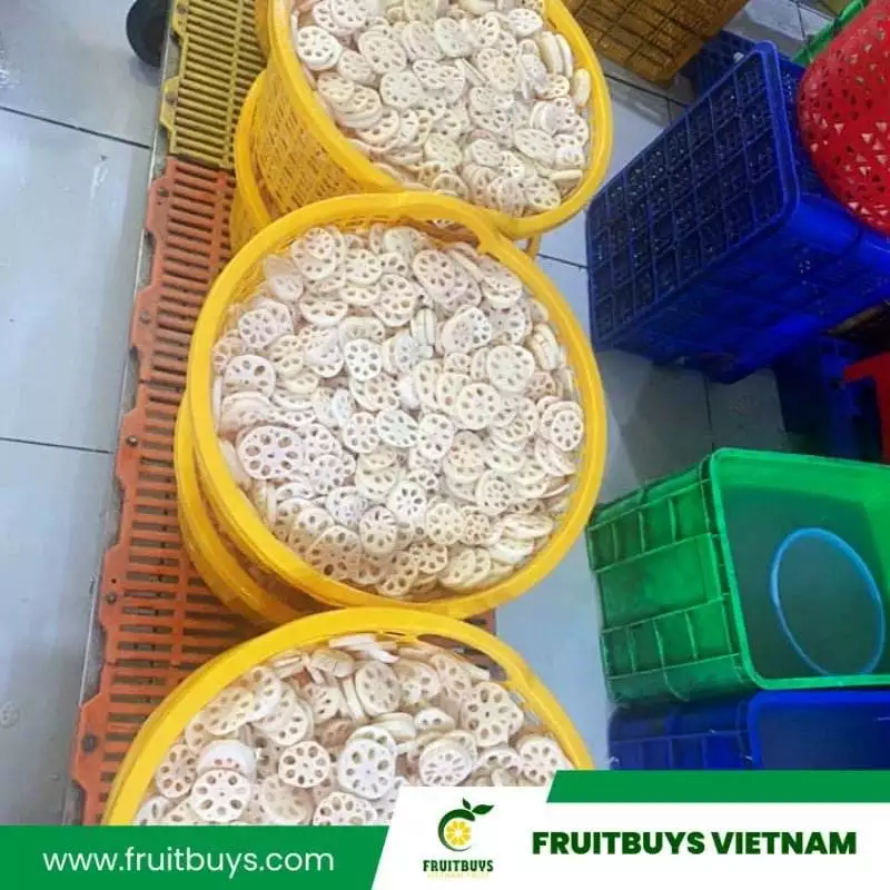 Crispy Fried Lotus Root Chips Vegan Snacks FruitBuys Vietnam