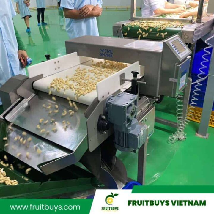 Premium Freeze Dried Cashew Nuts (Freeze Drying) | FruitBuys Vietnam