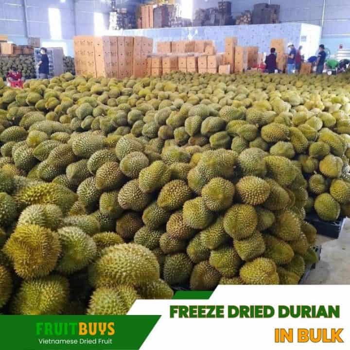 Premium Freeze Dried Durian Healthy Snacks FruitBuys Vietnam