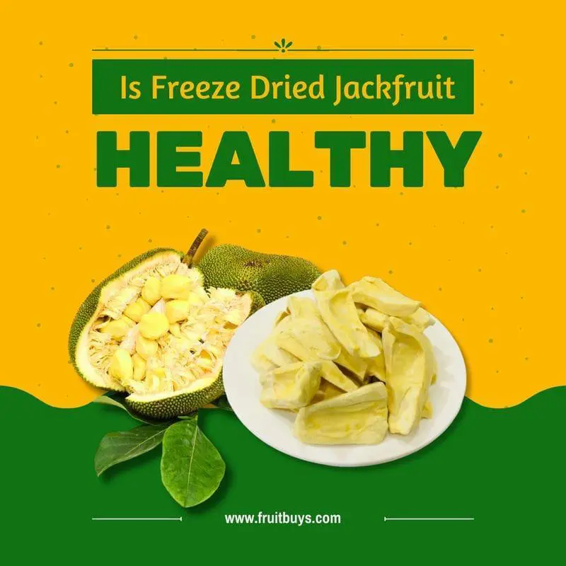 How to Grow Your Business with Freeze Dried Jackfruit Wholesale ...