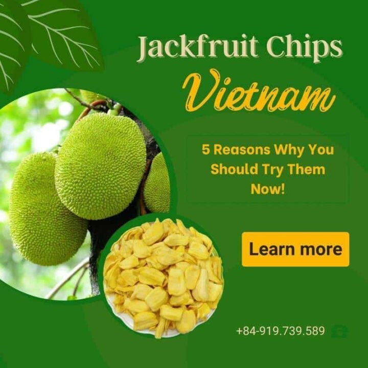Discover The Amazing Benefits Of Jackfruit Chips In The World Of ...