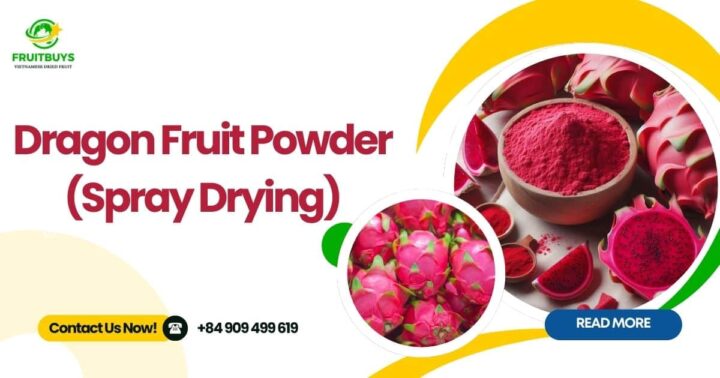 Pure Dragon Fruit Powder (Spray Drying) | FruitBuys Vietnam